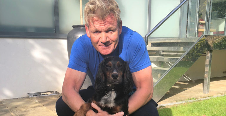 Ben Randall Gundog Trainer - Beggarbush Gundogs